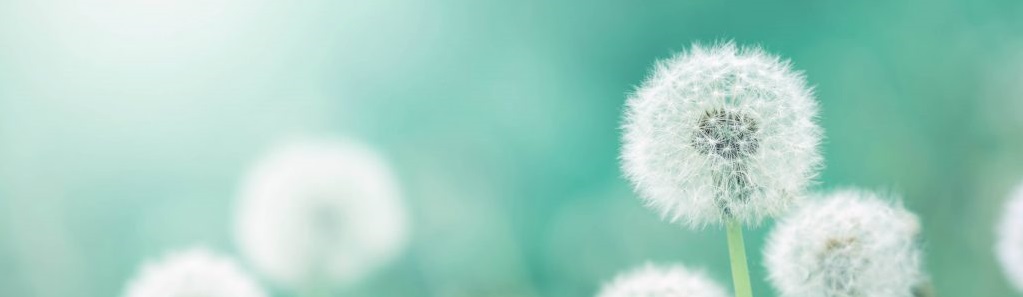 Pellowah Healing - Emeraldine Energy Therapies